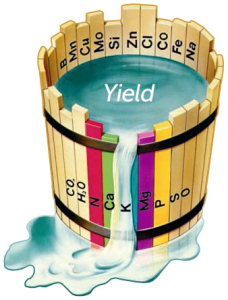 FACTS Advice - .JSE Systems Ltd