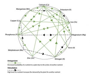 FACTS Advice - .JSE Systems Ltd